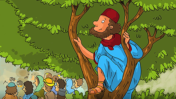 Zachée, perché sur son arbre - Lc 19, 1-10 - catéchèse enfants - Théobule