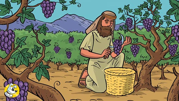 Se réconcilier : La vigne et le vigneron - Jn 15, 1-8 - catéchèse ...